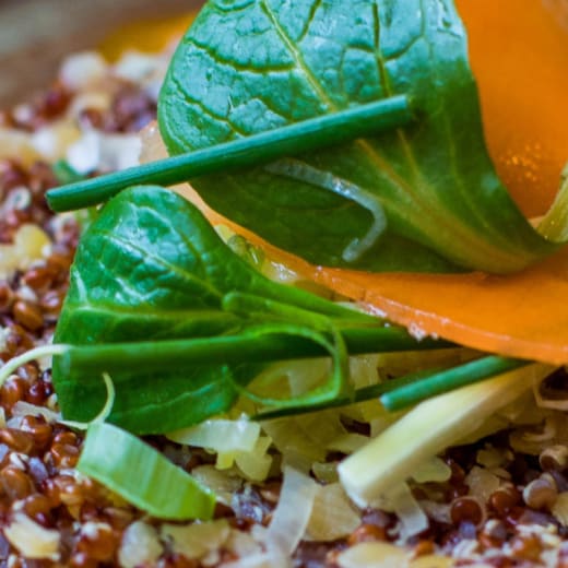 Die 10 besten Restaurants mit Vegetarische Gerichte in Zürich | TheFork