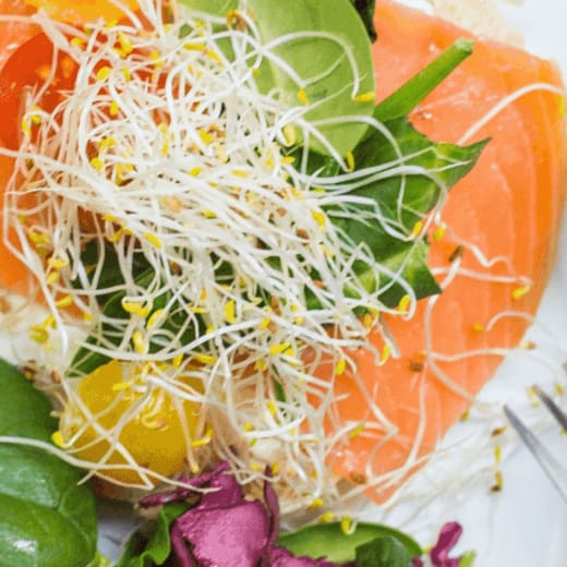 De beste Brunch restaurants in Cima | TheFork